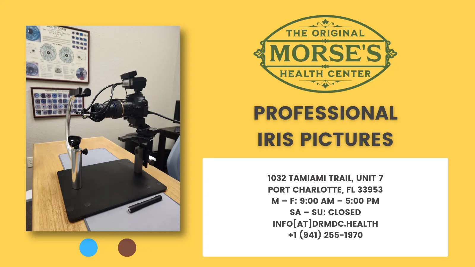 Professional Iris Photos - Handcrafted Botanical Formulas