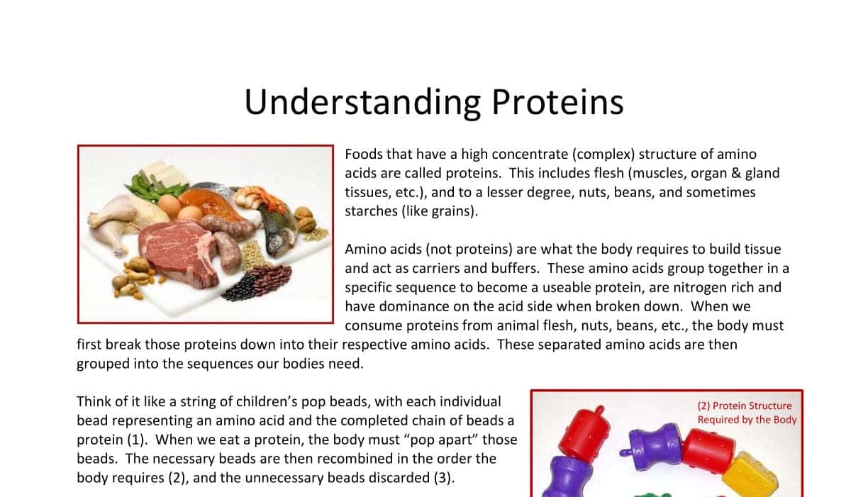 Understanding Proteins - Handcrafted Botanical Formulas